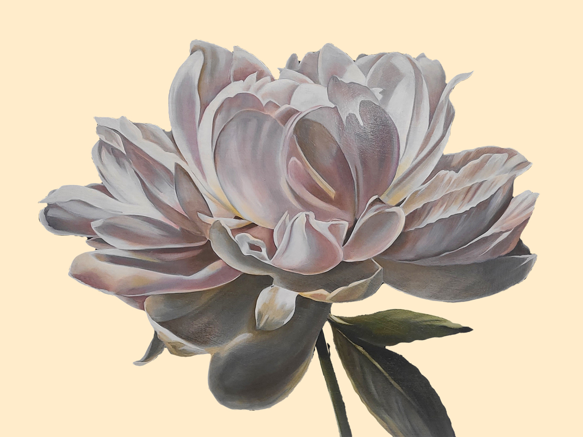 Open Peony in Cream | Jardine Studio